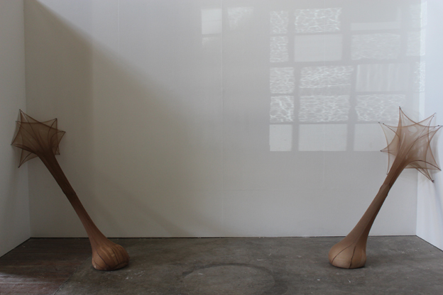 Amorphous (Part II) - Ashvini Ray